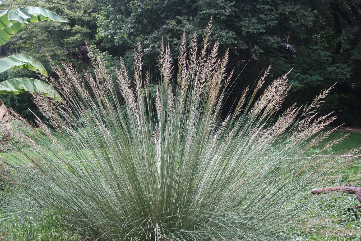 Indigenous Plant Nursery - Muldersdrift - Guest House Accommodation