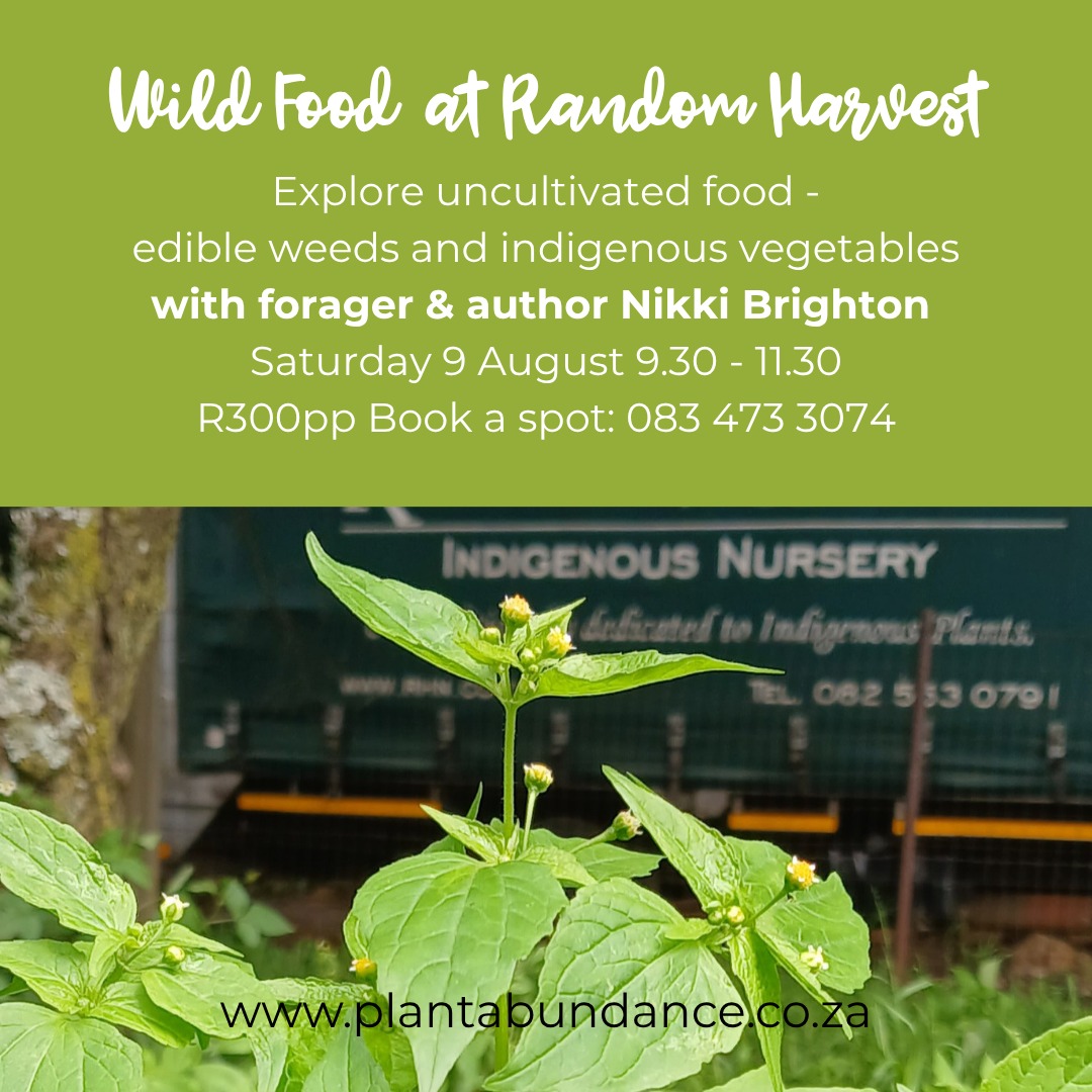 Indigenous Plant Nursery - Muldersdrift - Guest House Accommodation